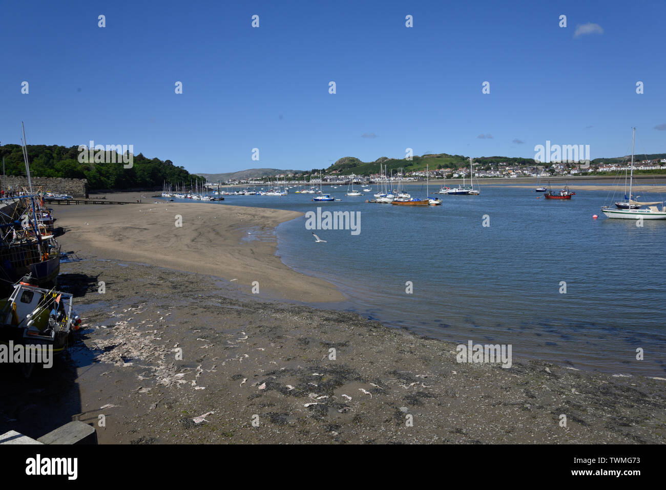 Sand and cobbles hi-res stock photography and images - Alamy