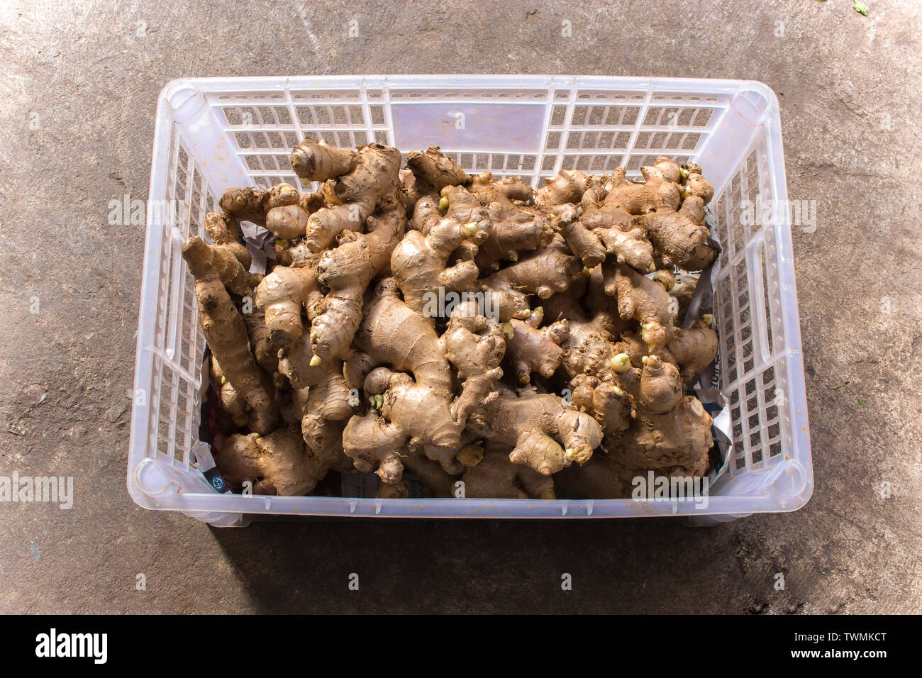 top view closeup detail of ginger in open plastic transparent packaging ...