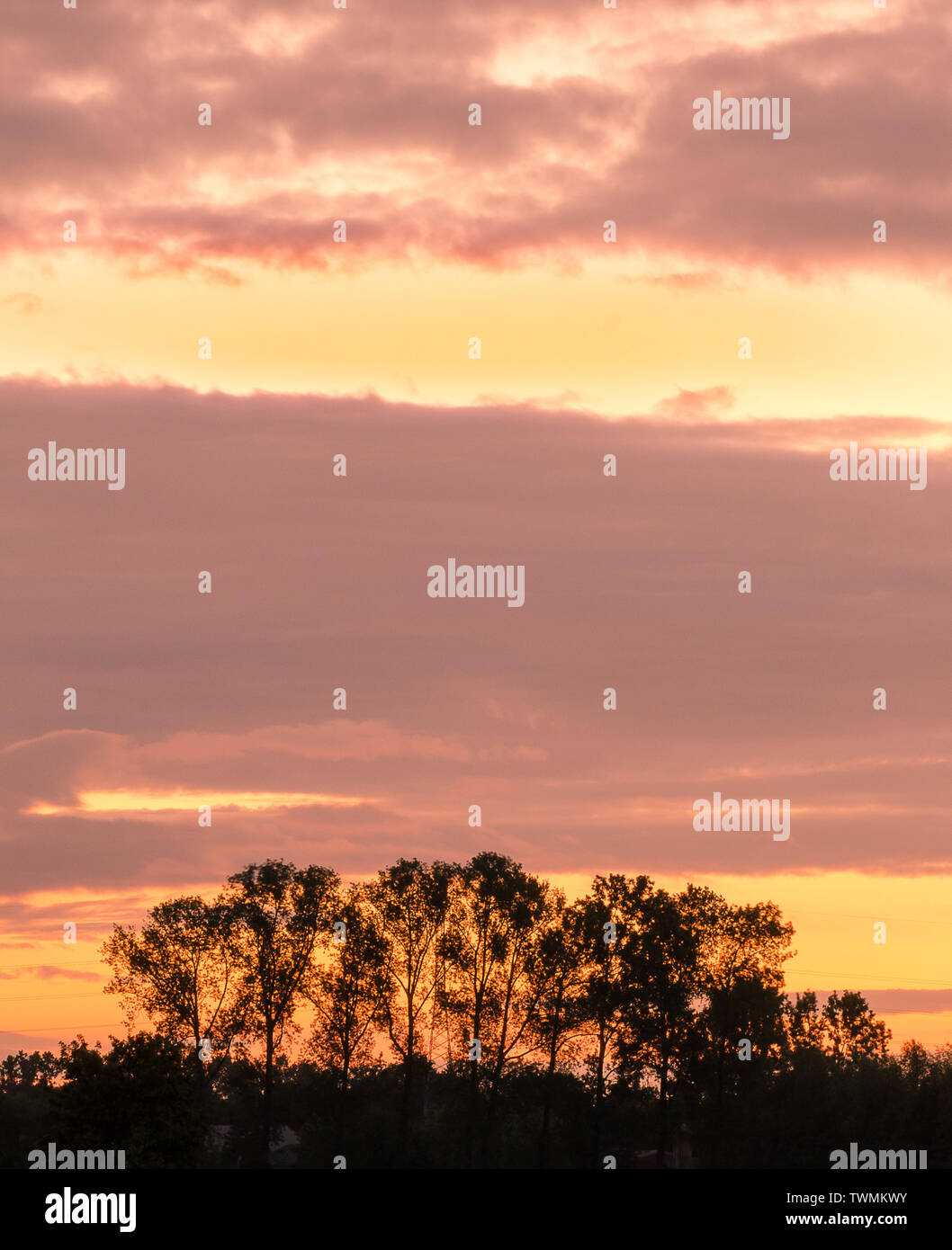 Ertvelde hi-res stock photography and images - Alamy