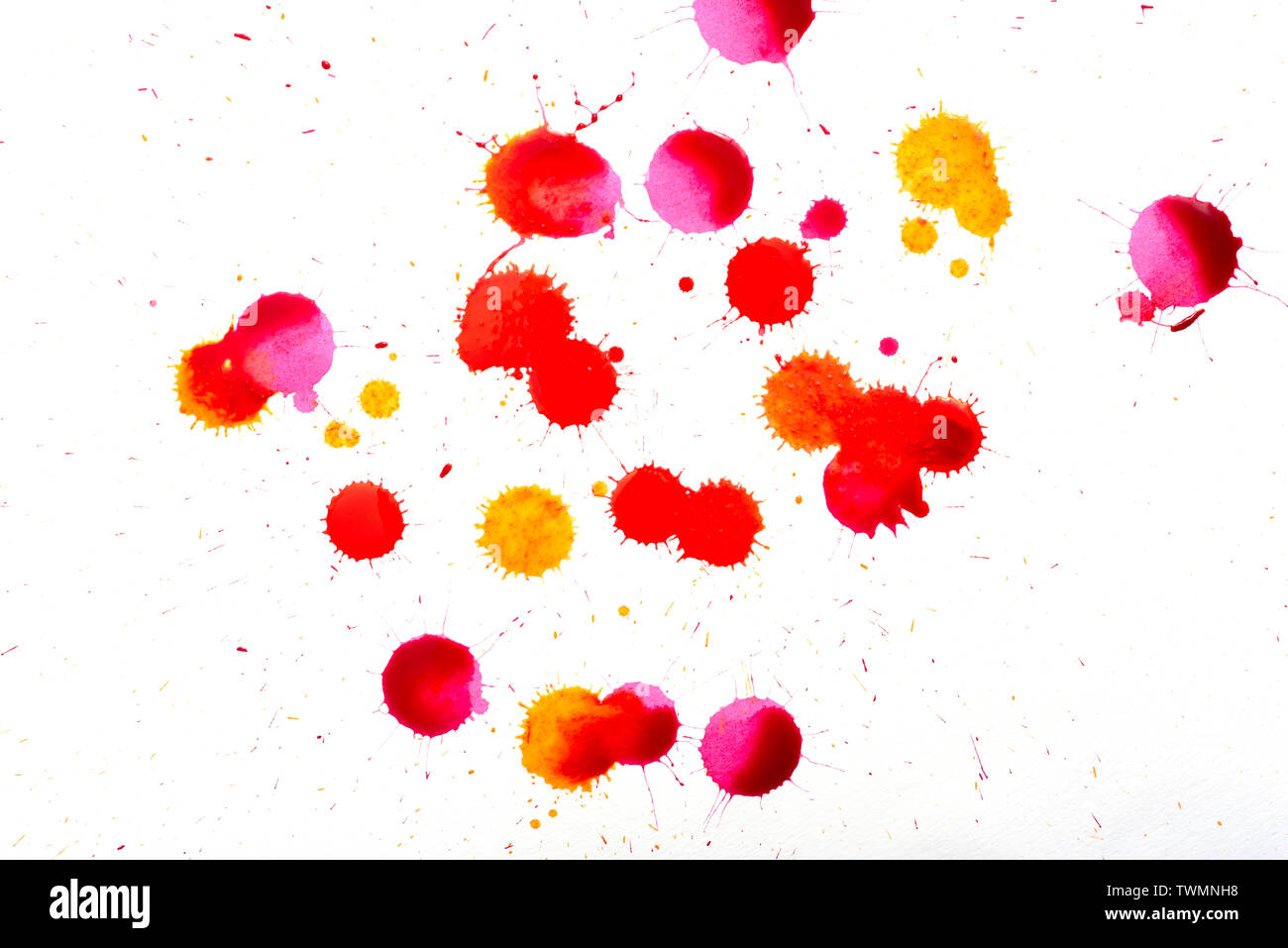 Multicolour paint splash on white canvas. Splatter isolated from ...