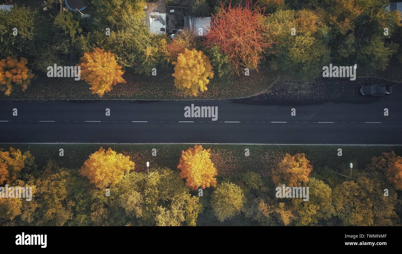 Beautiful and colorful spring trees in Denmark Stock Photo - Alamy