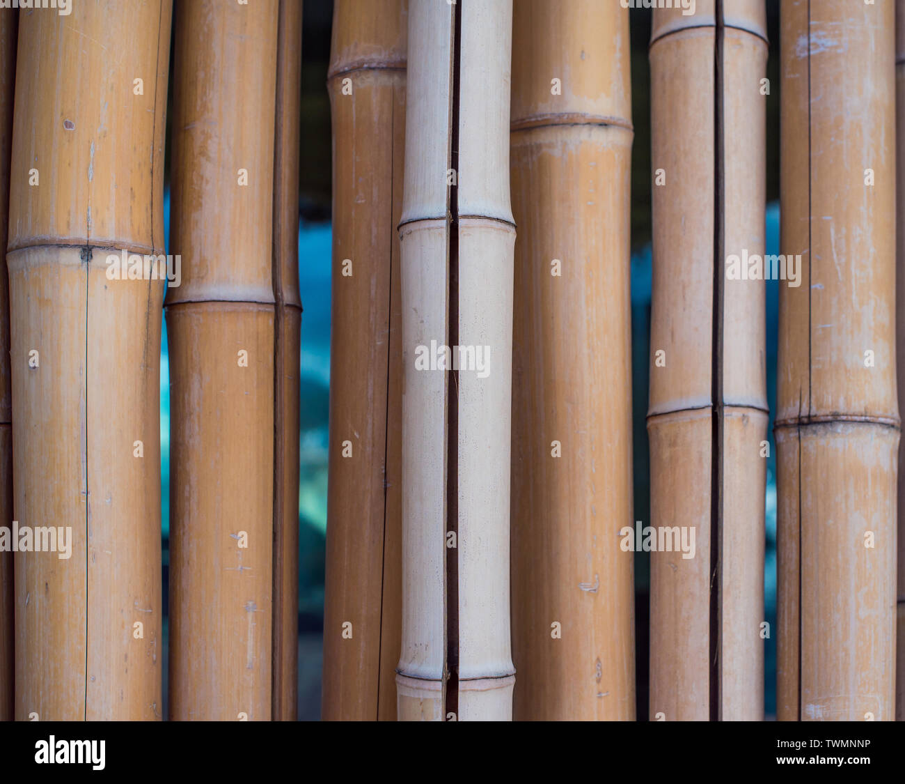 Wall of dry cracked bamboo stems Stock Photo - Alamy