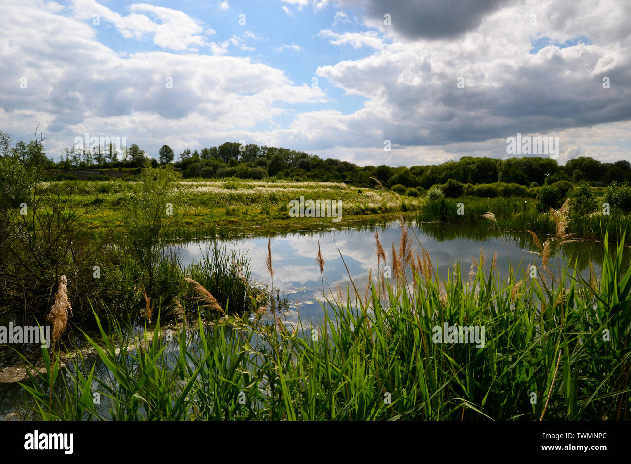 Tring nature reserve hi-res stock photography and images - Alamy