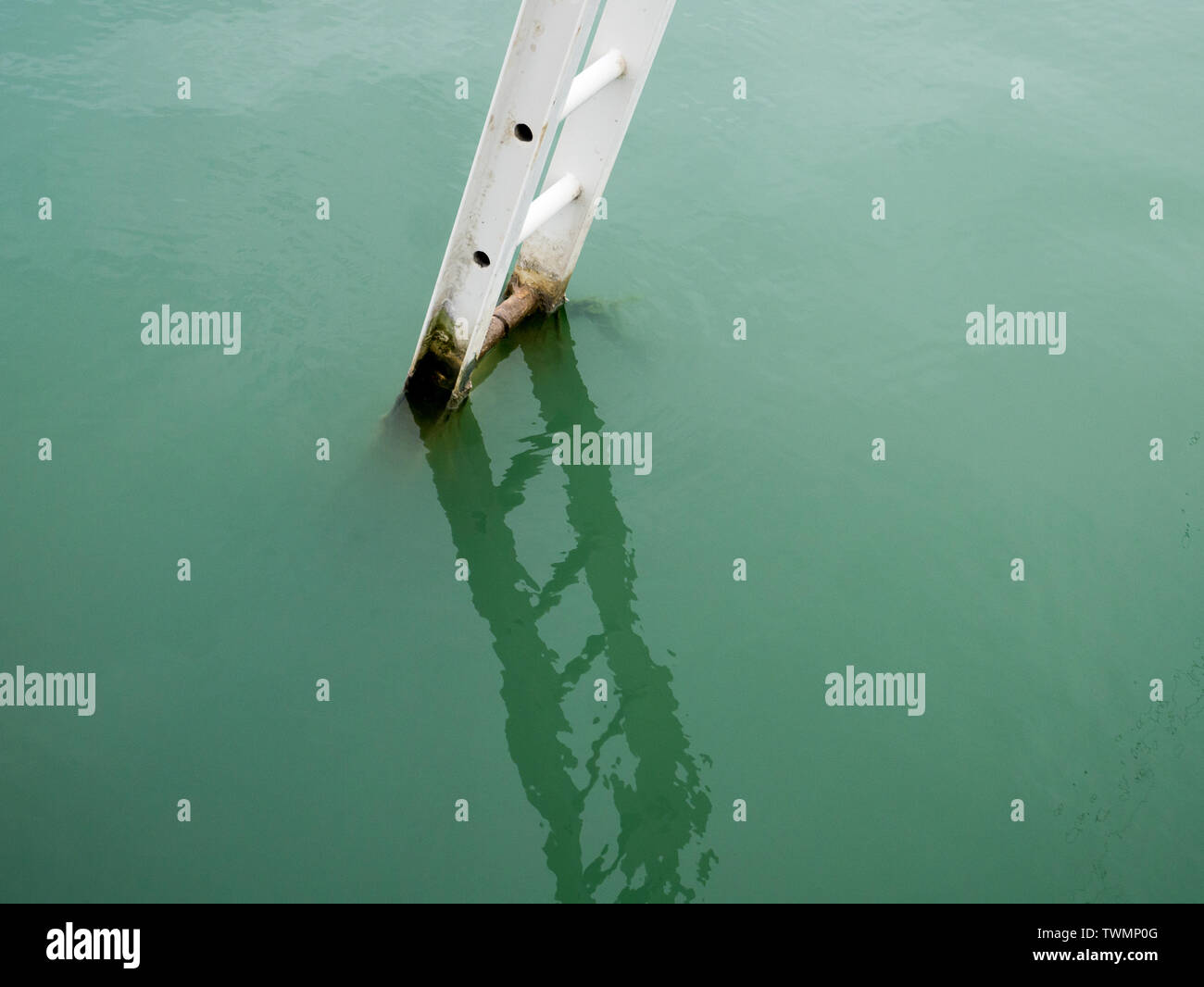 Colour image of a white ladder and its reflection in green water Stock ...