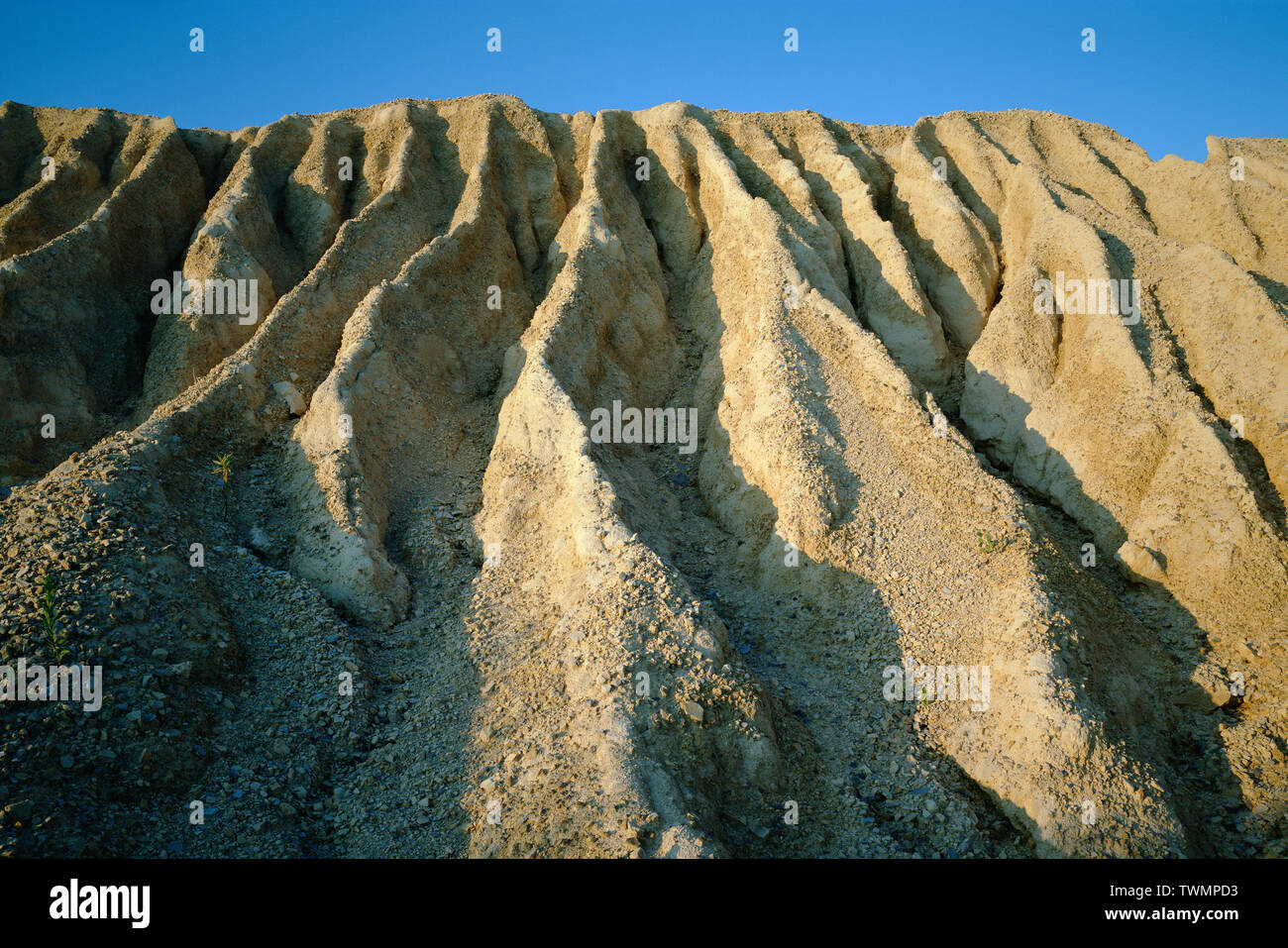 Graphic and dramatic image of soil erosion showing ridges and deep ...