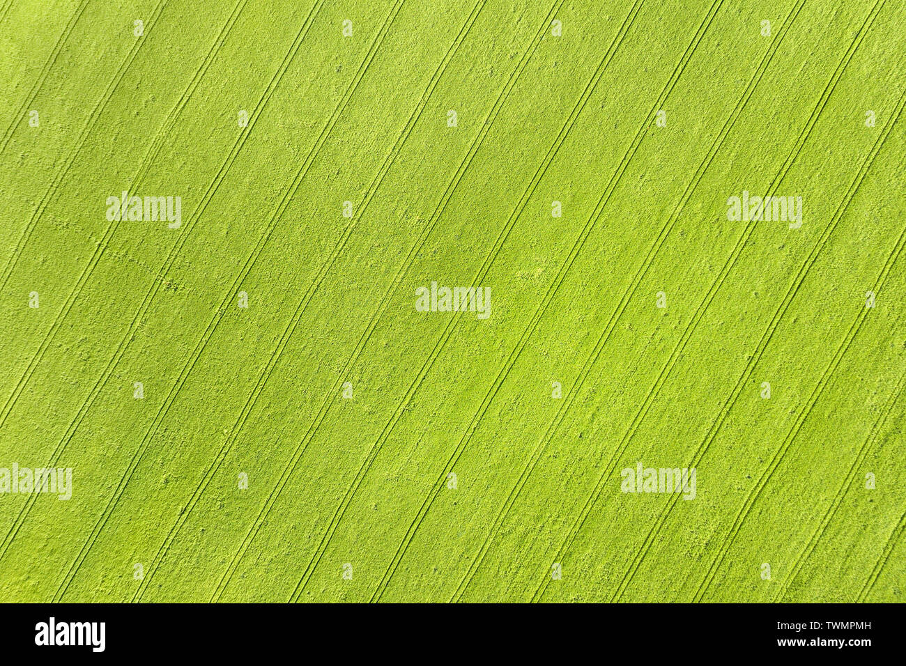 Green field aerial top view for texture and background Stock Photo - Alamy