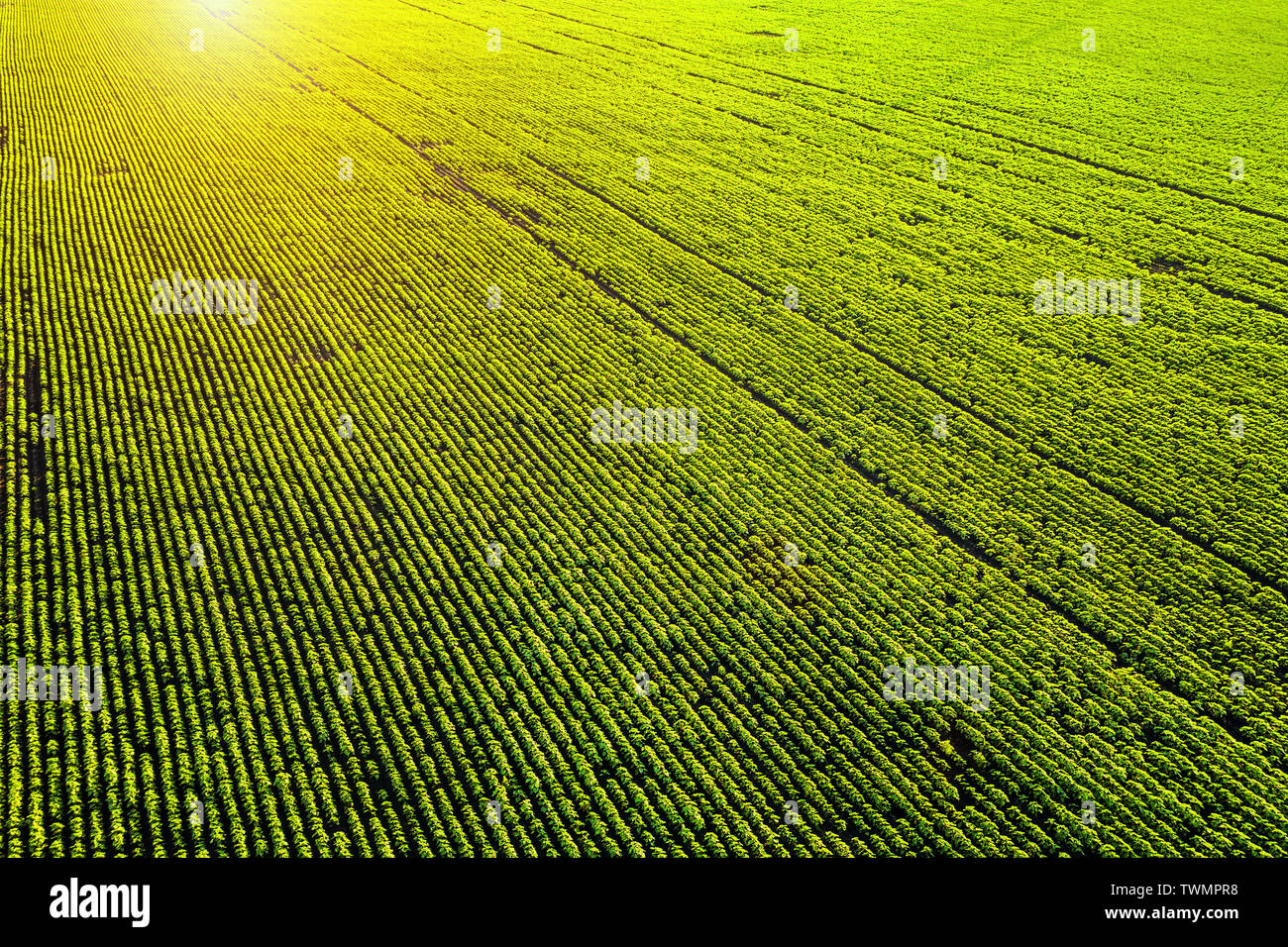 Aerial angle view hi-res stock photography and images - Alamy