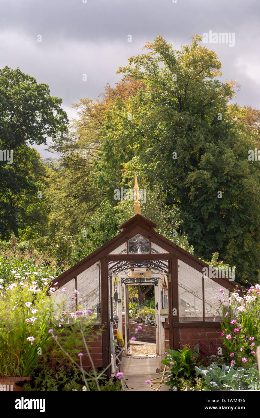 A typical european wooden greenhouse Stock Photo - Alamy