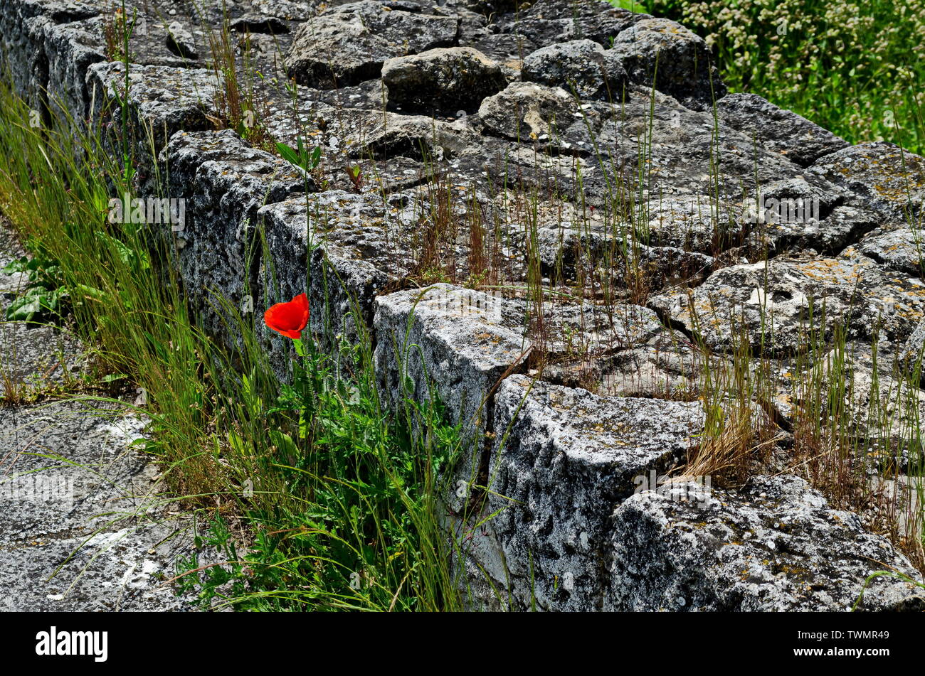 Archaeological Complex Abritus with primary conservation of part of the ...