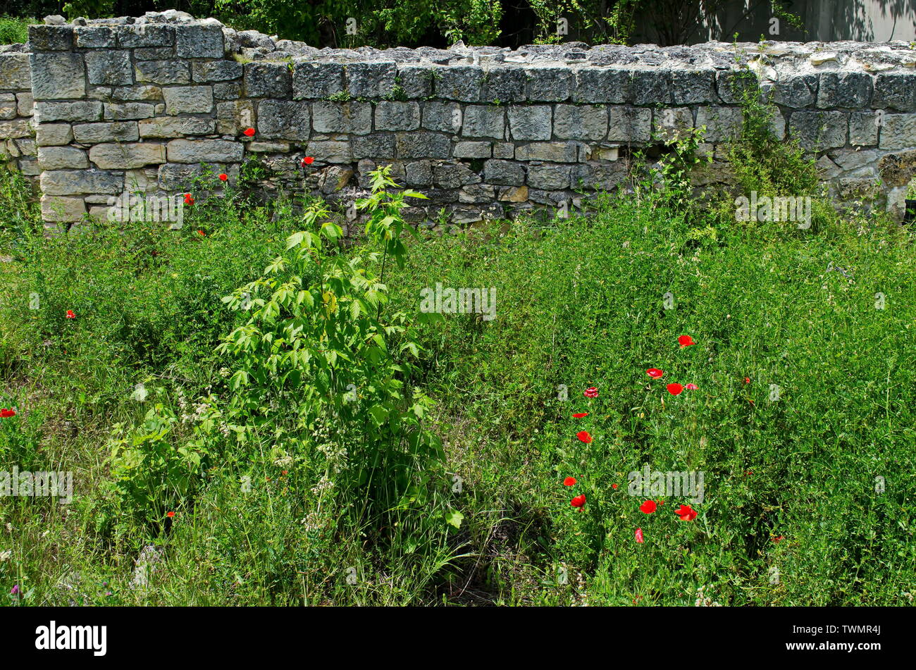 Archaeological Complex Abritus with primary conservation of part of the ...