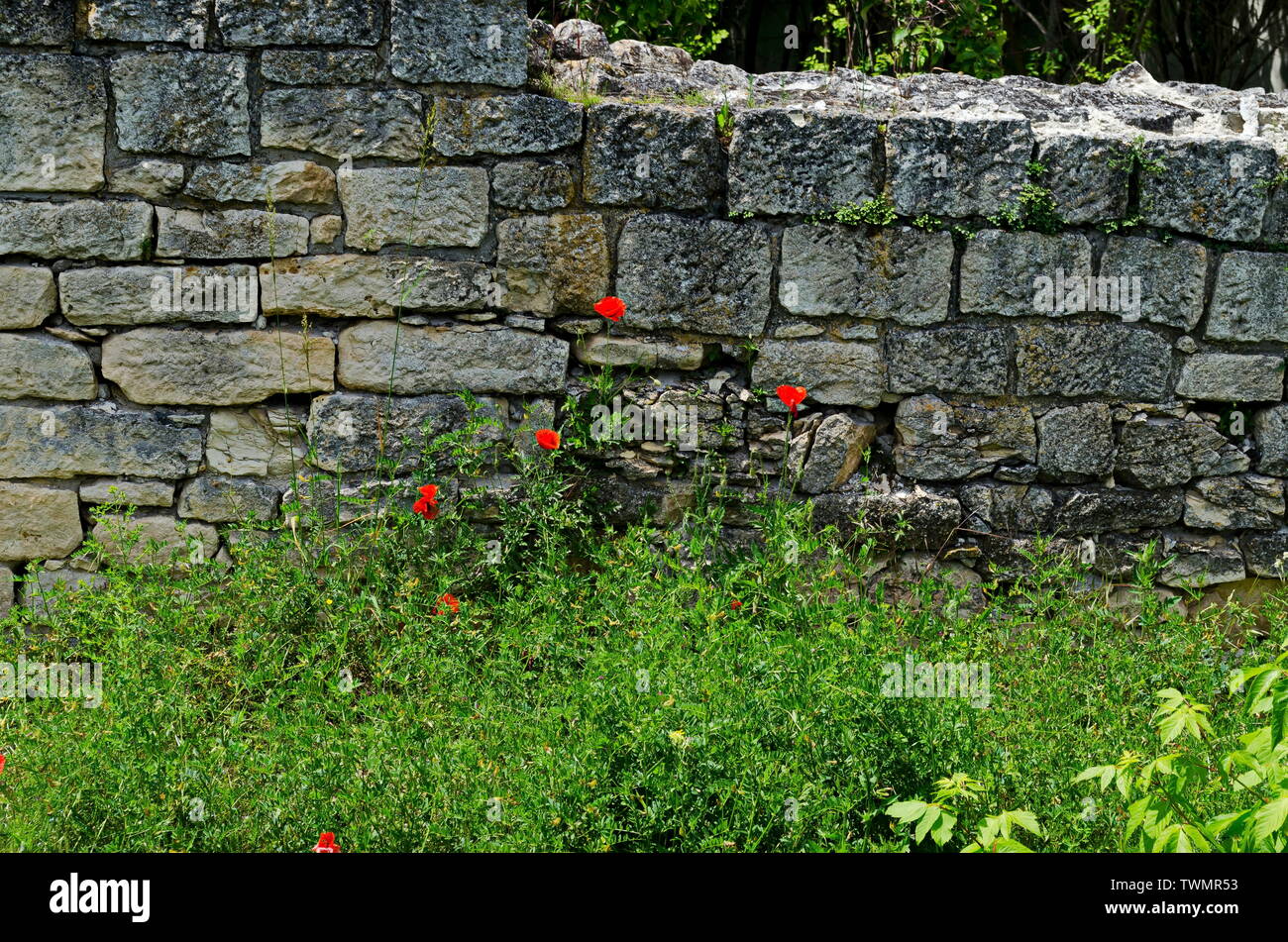 Archaeological Complex Abritus with primary conservation of part of the ...