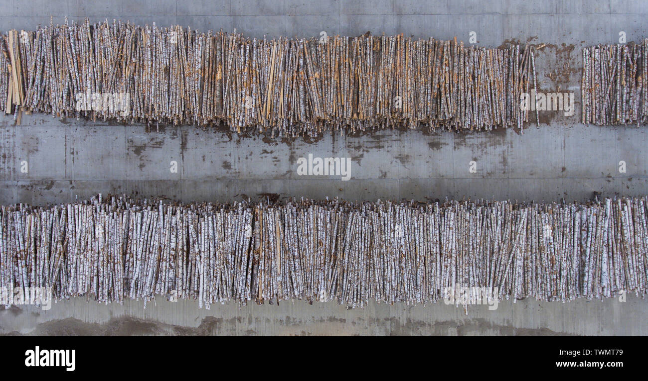 Stacks of birch logs in an open logging warehouse. Top view Stock Photo ...