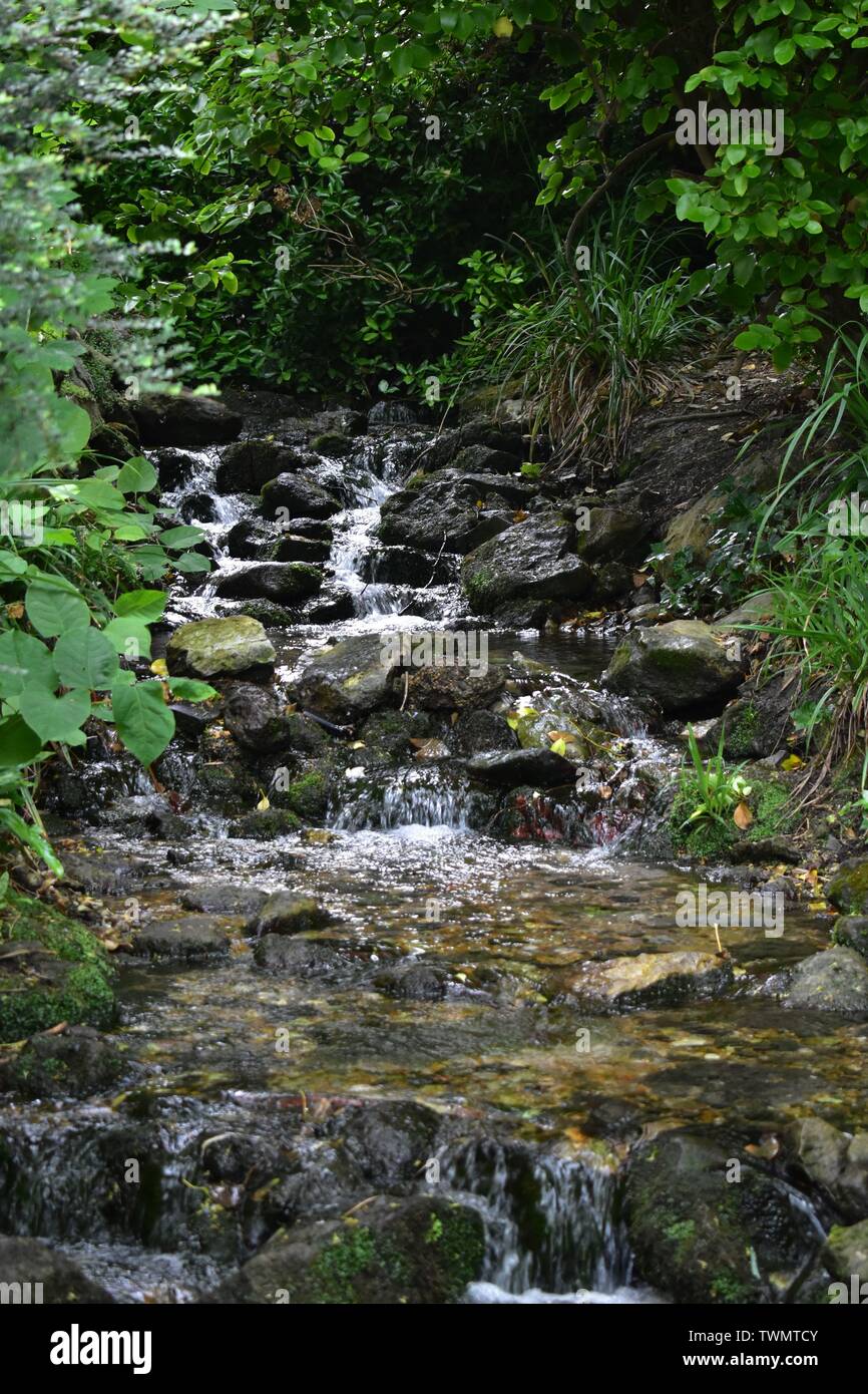 Hillside stream, Bonchurch, Isle of Wight Stock Photo - Alamy