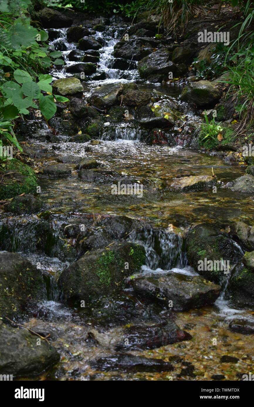 Bonchurch hi-res stock photography and images - Alamy