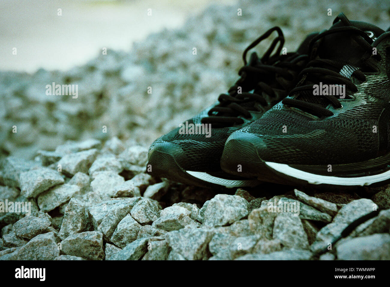 Trail running shoes in a park, close-up sneakers. Running shoes before ...