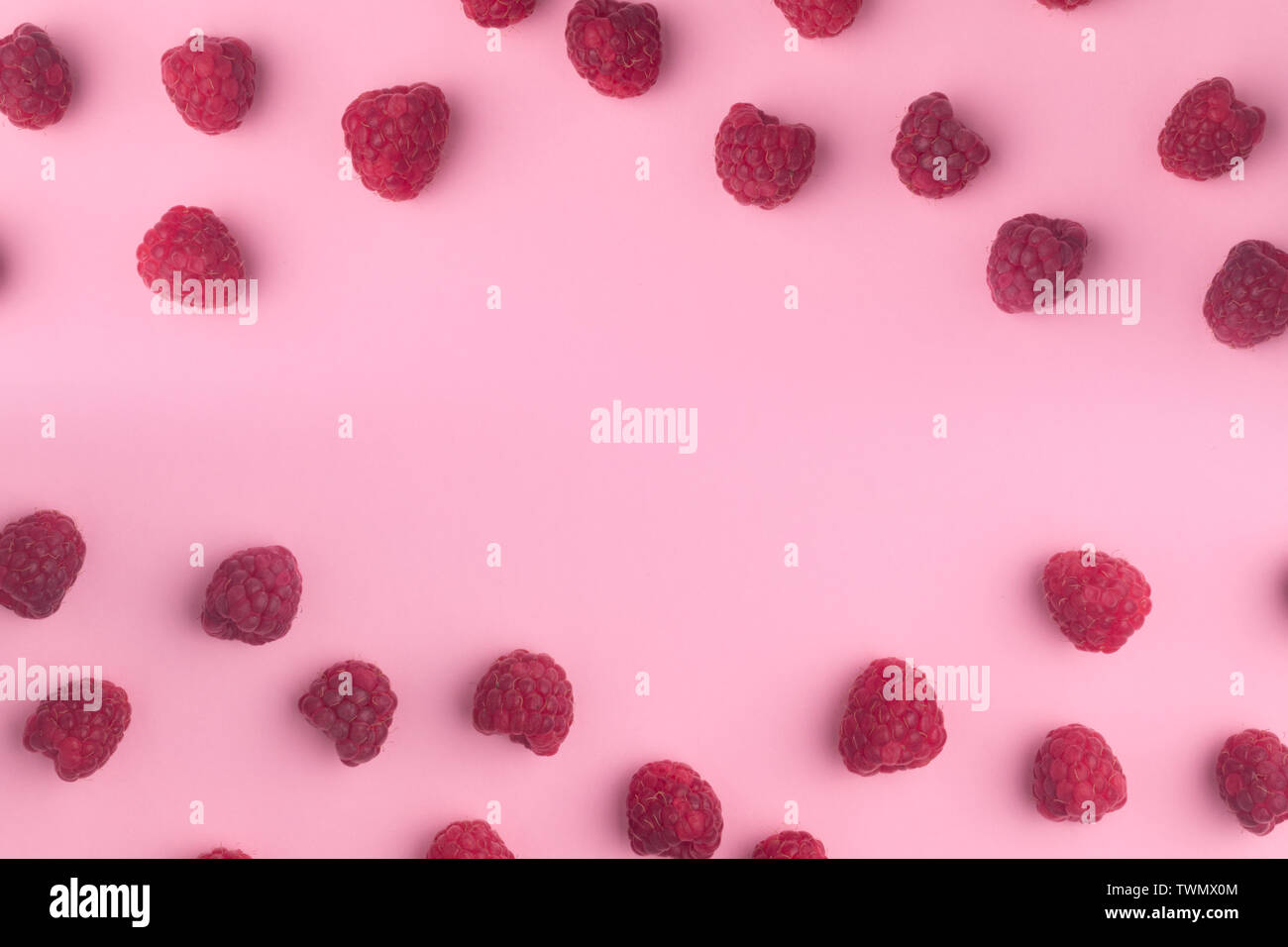ripe raspberry on a light pink background with copy space in the middle ...