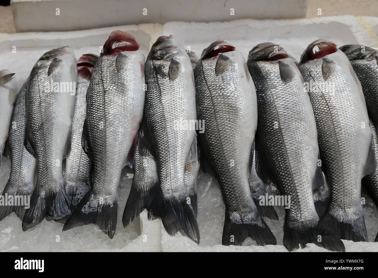 Different sea fish at a fish market in Croatia Stock Photo - Alamy