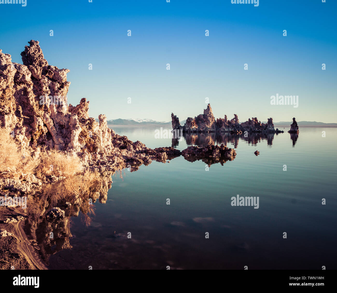 New mono hi-res stock photography and images - Alamy