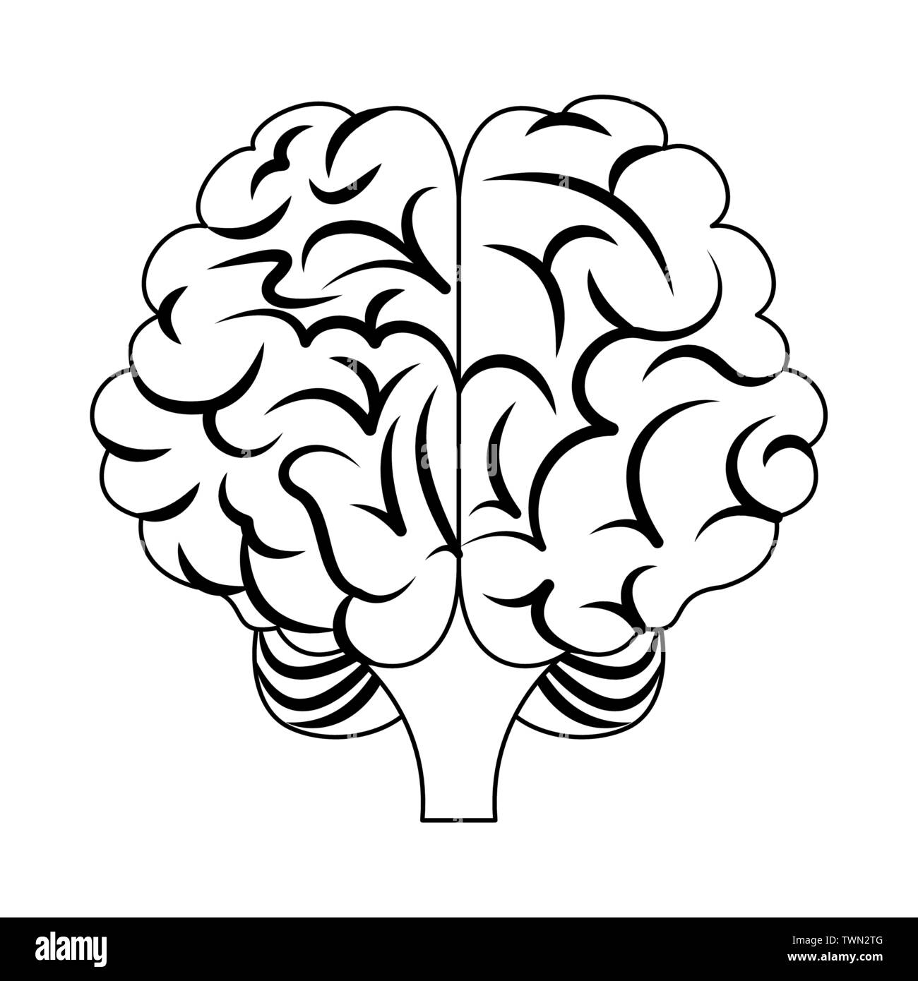 Simple Cartoon Brain