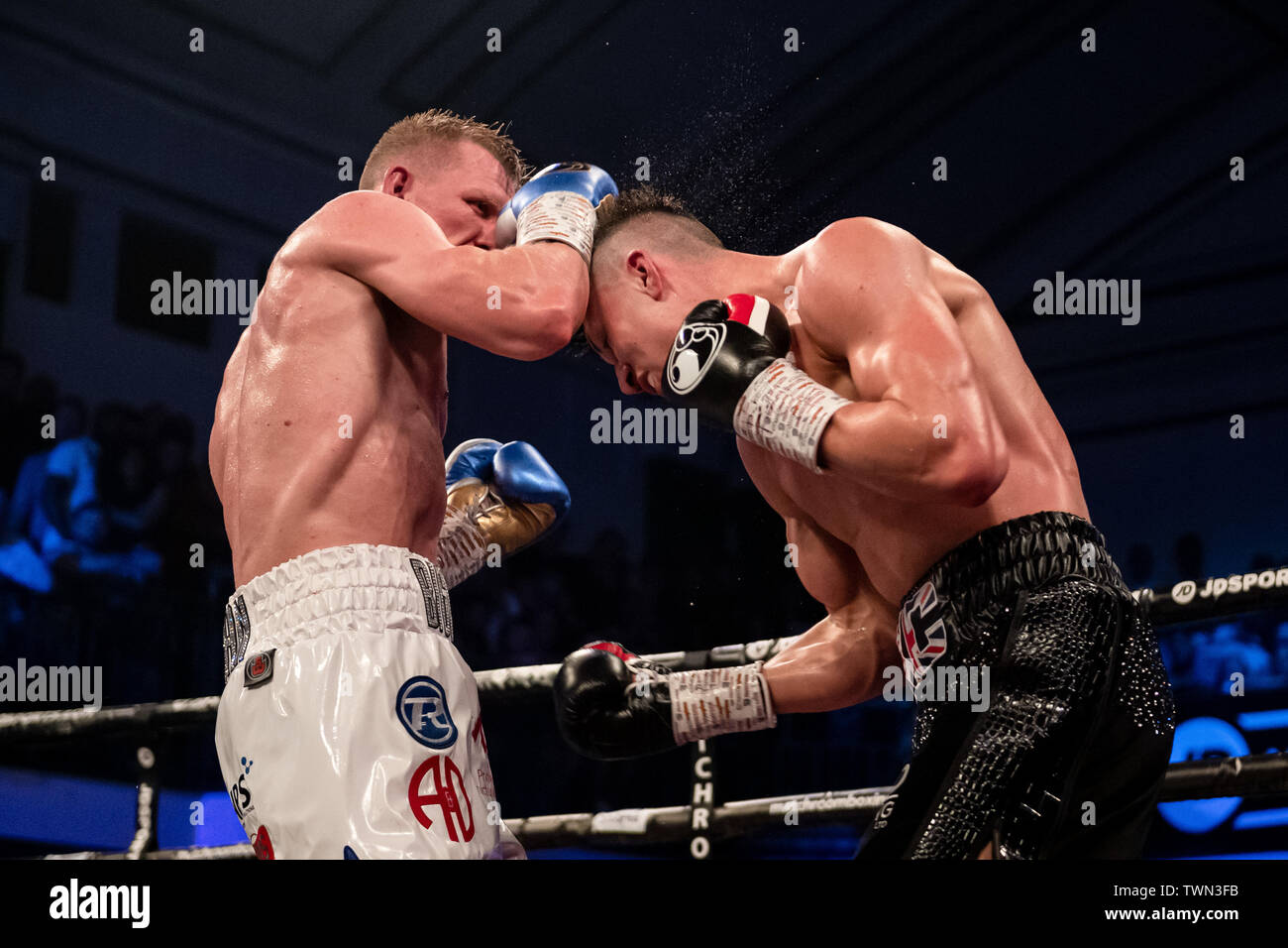 Ted cheeseman hi-res stock photography and images - Alamy