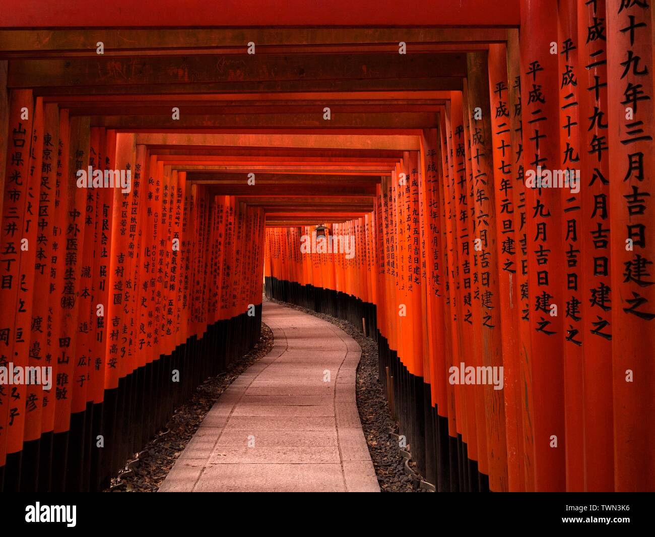 Red torii gates at the Fushimi Inari Taisha Shrine, located at the base ...
