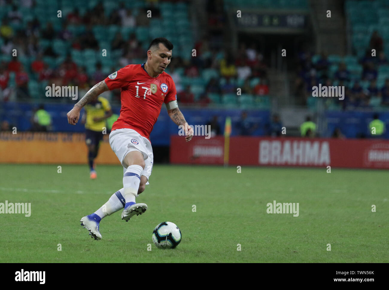 Gary nova hi-res stock photography and images - Alamy