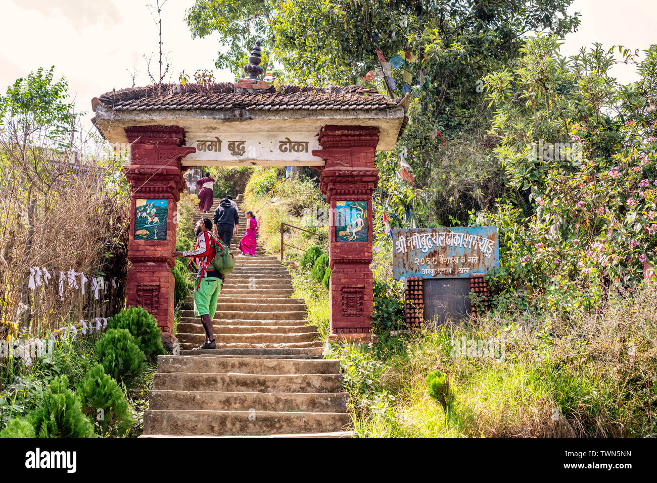 Namo buddha tiger hi-res stock photography and images - Alamy