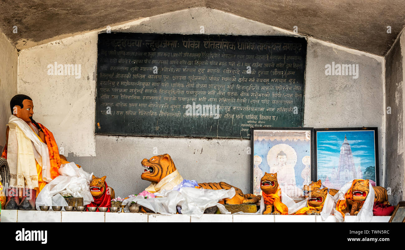 Namo buddha tiger hi-res stock photography and images - Alamy