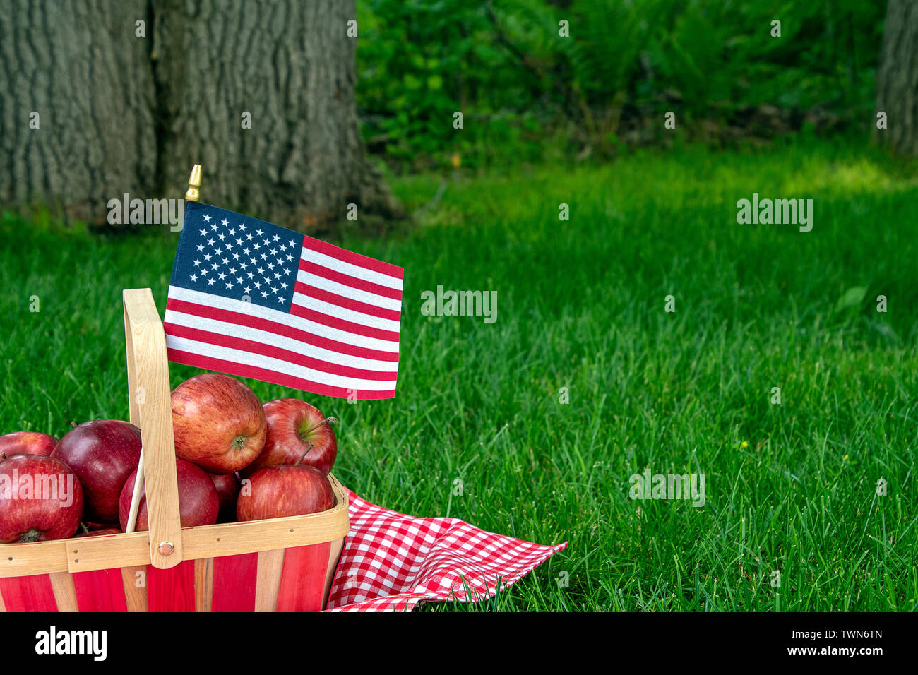 Lawn grass american flag hi-res stock photography and images - Alamy