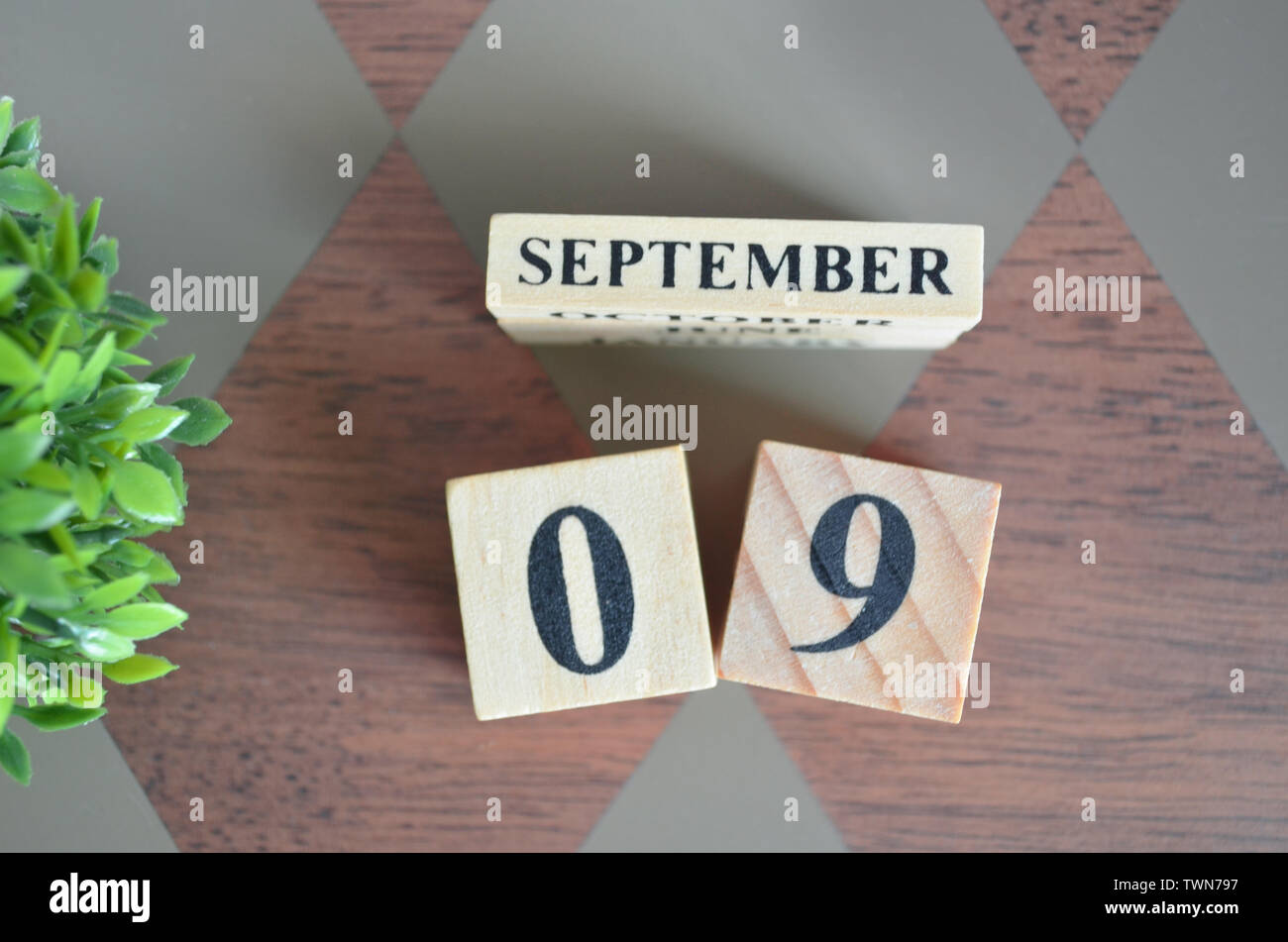 Date of September with leaf on diamond pattern table for background ...