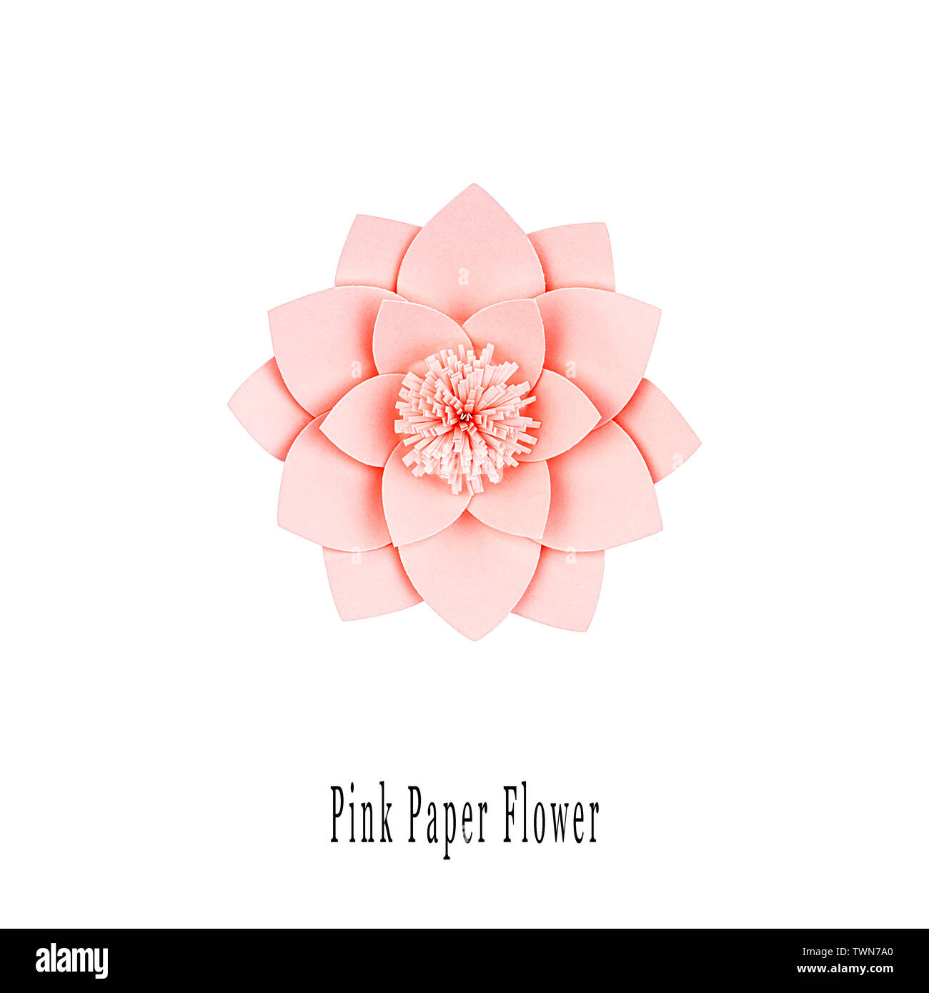 Pink paper flower handmade, top view, isolated Stock Photo - Alamy