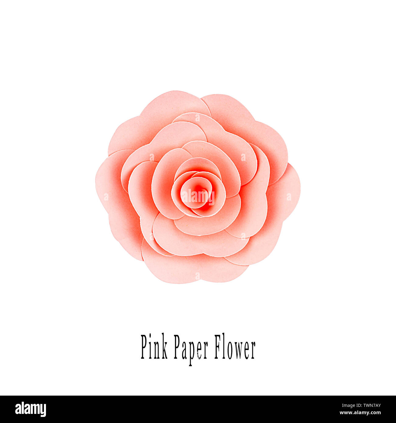 Pink paper flower handmade, top view, isolated Stock Photo - Alamy