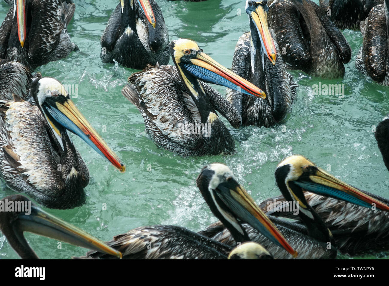 Punto arena hi-res stock photography and images - Alamy