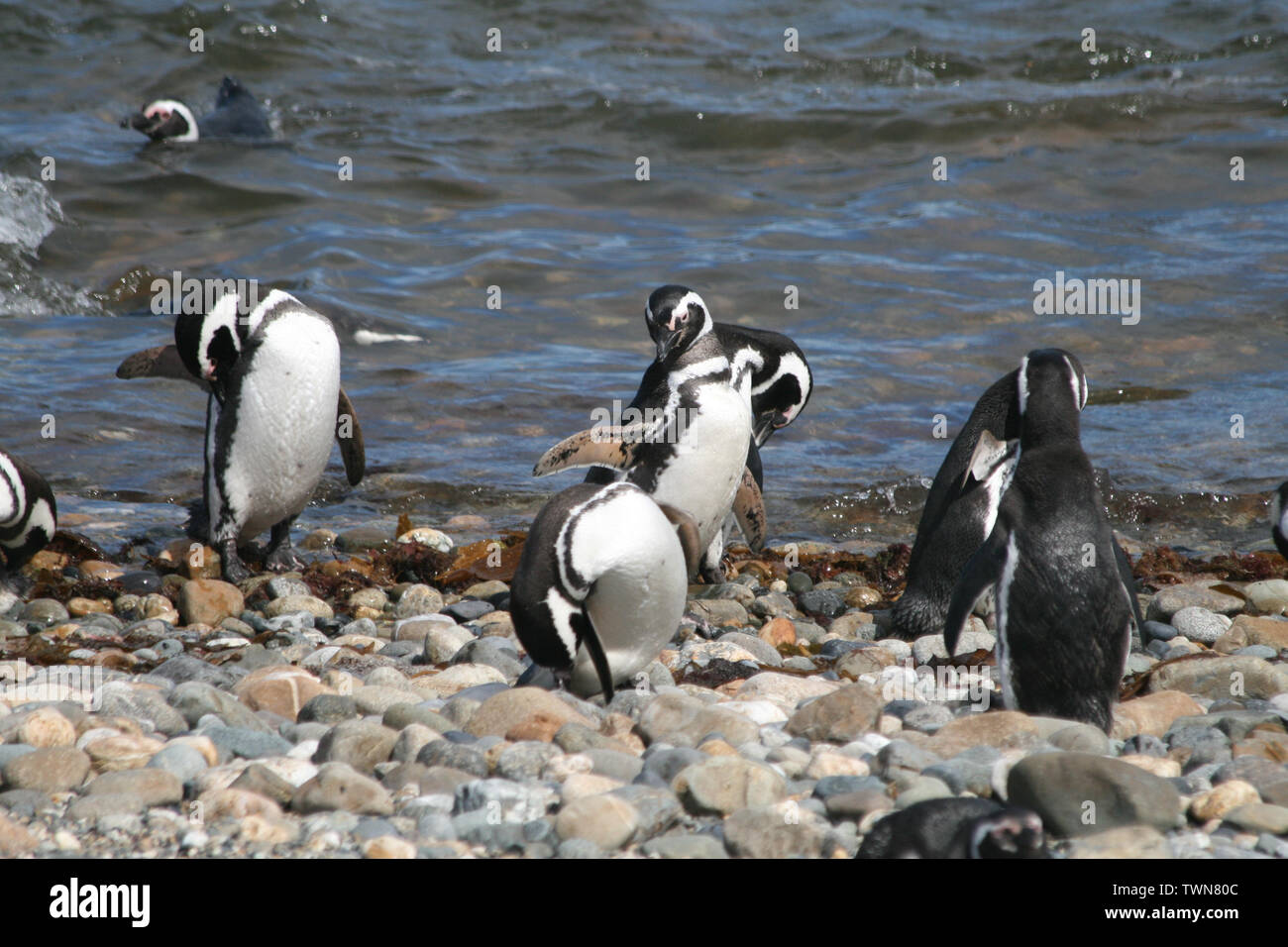 Punto arena hi-res stock photography and images - Alamy