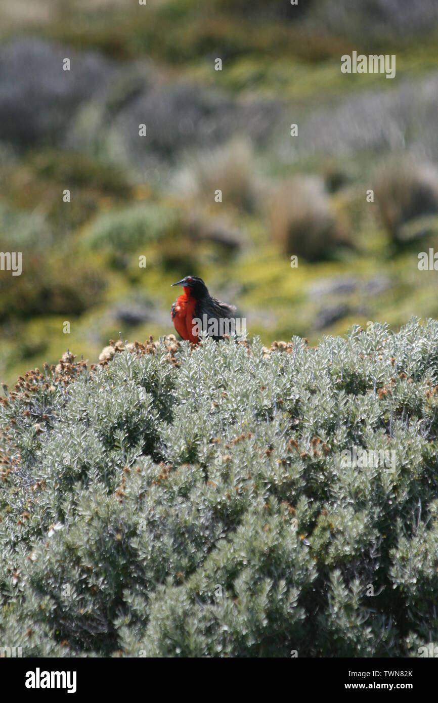 Punto arena hi-res stock photography and images - Alamy