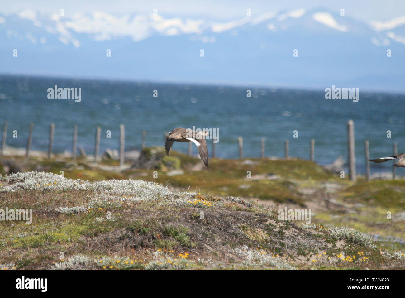 Punto arena hi-res stock photography and images - Alamy