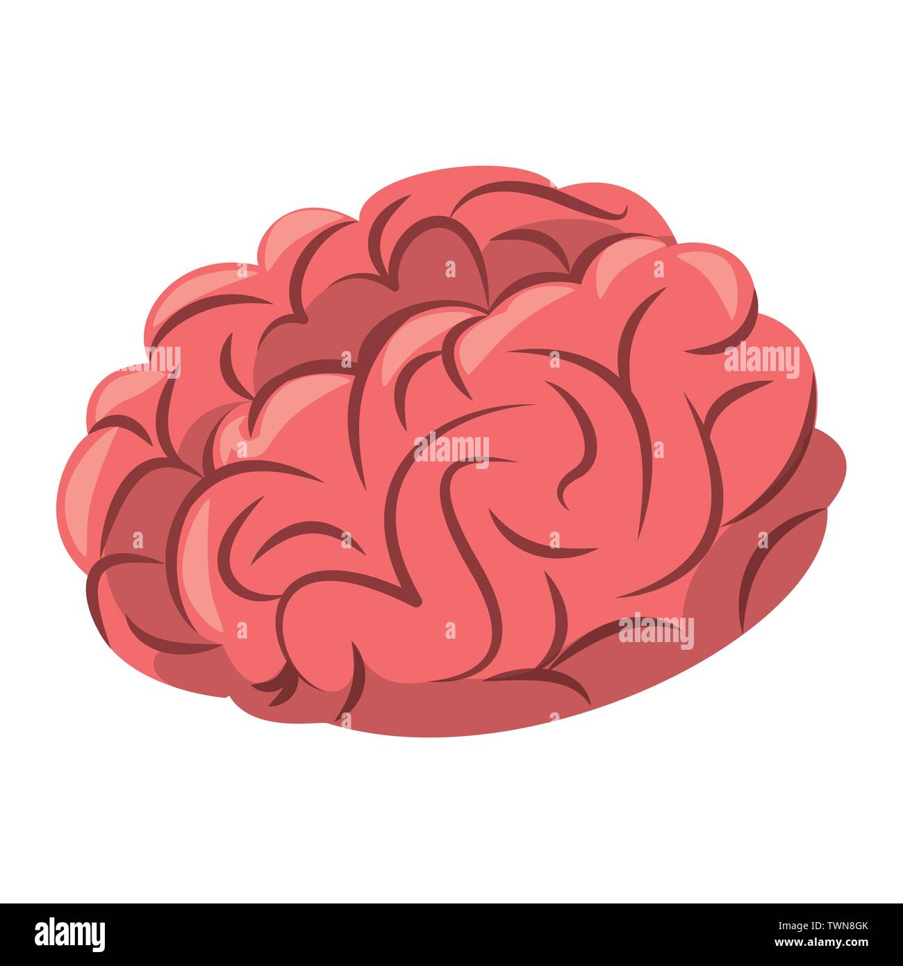 Human brain intelligence and creativity cartoons Stock Vector Image ...