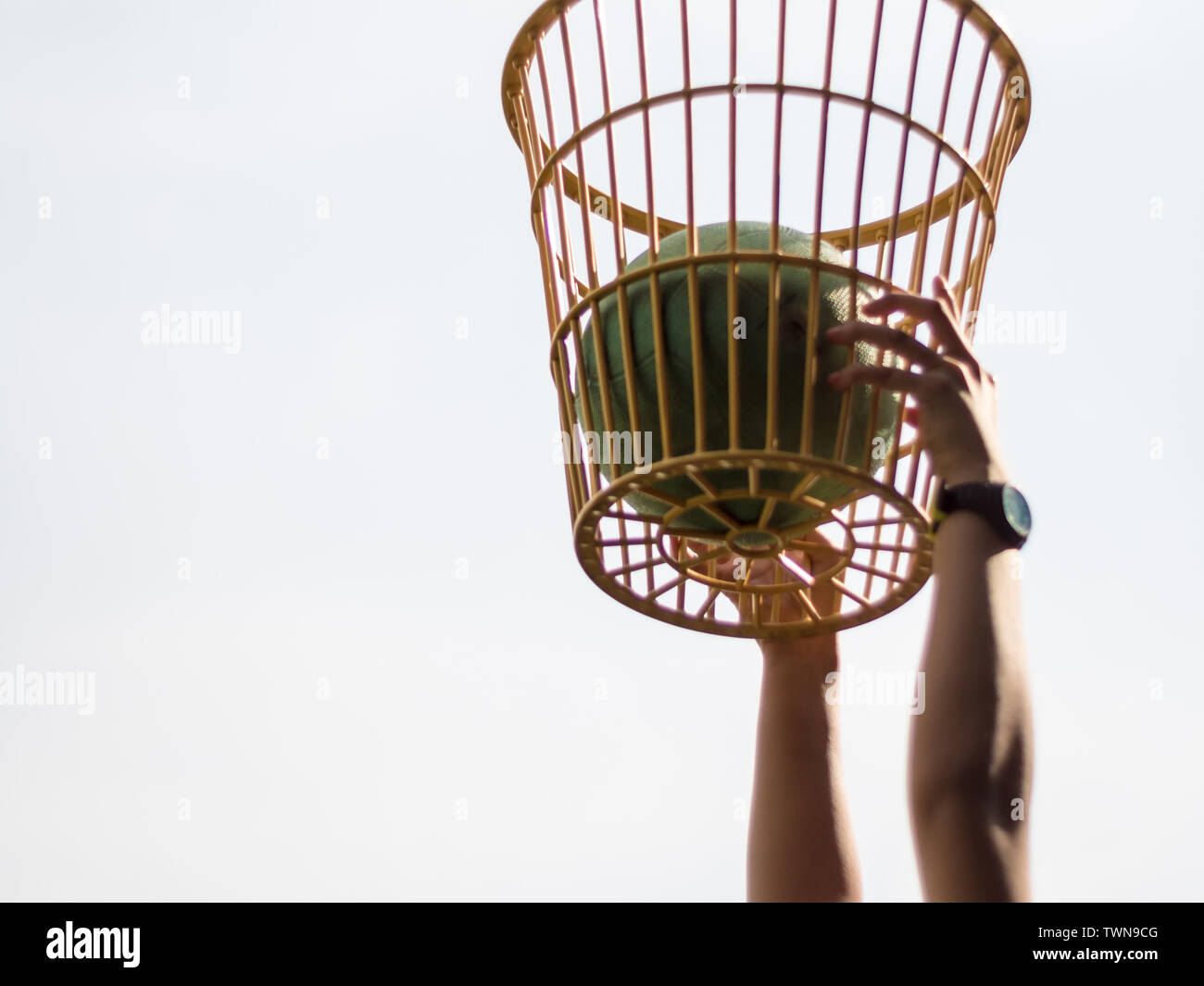 Ball down the basket In the chair ball competitions Stock Photo - Alamy