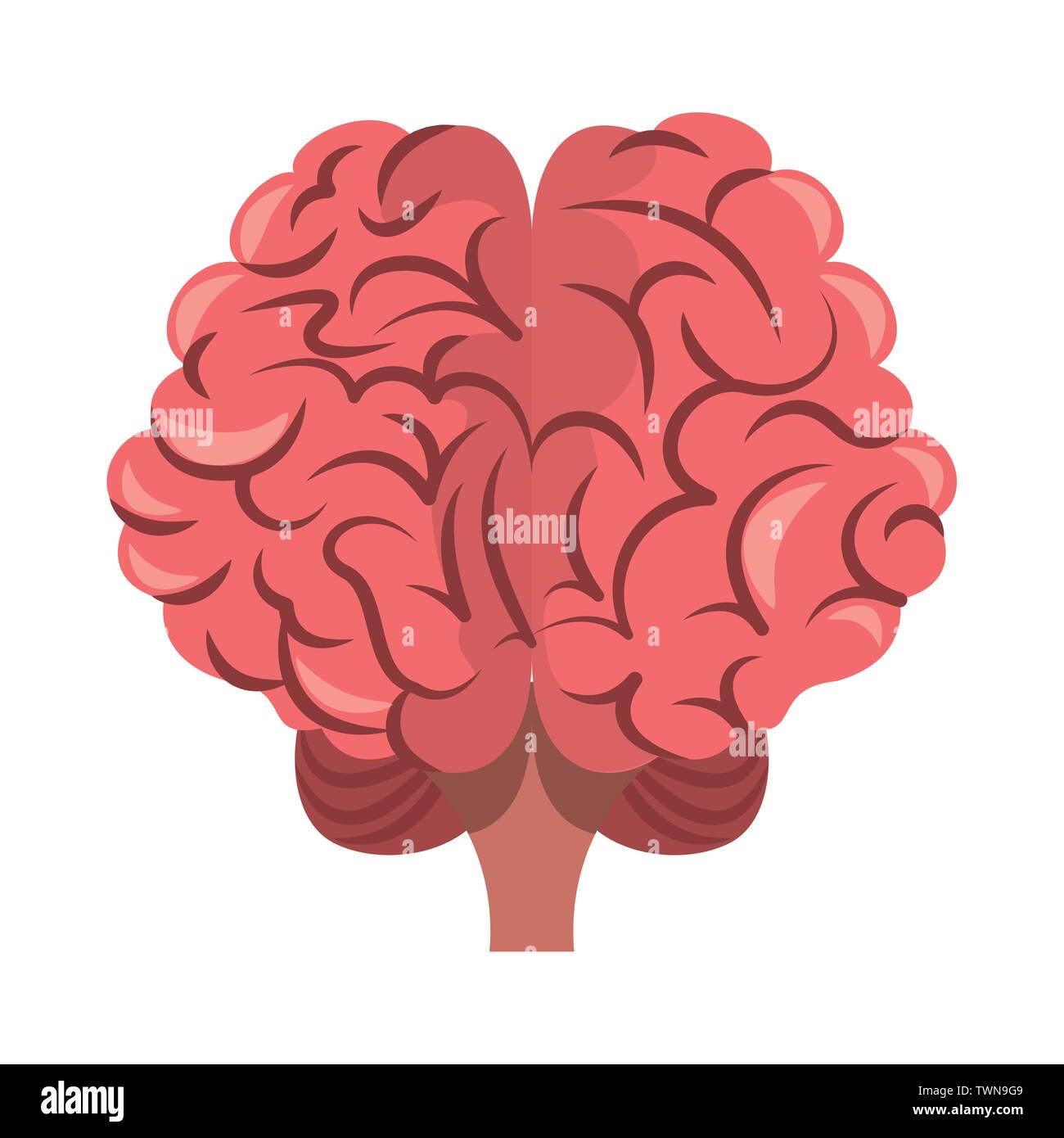 Human brain intelligence and creativity cartoons Stock Vector Image ...
