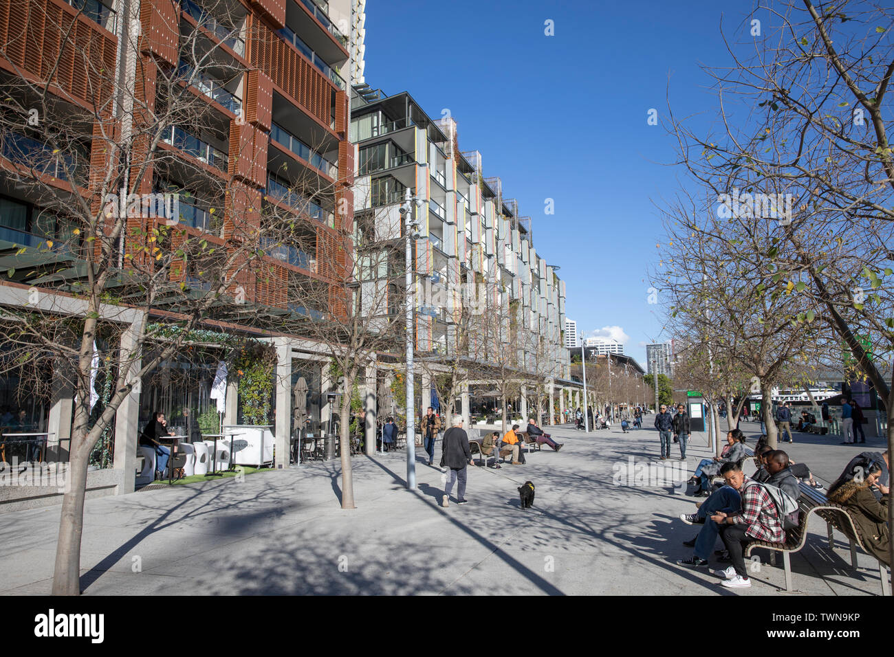 Sydney Barangaroo precinct with office development and retail ...