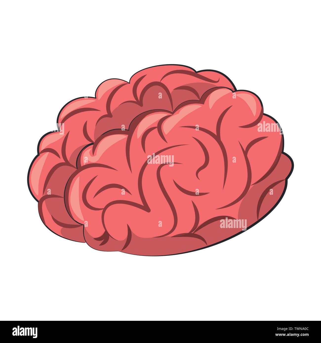 Human brain intelligence and creativity cartoons Stock Vector Image ...