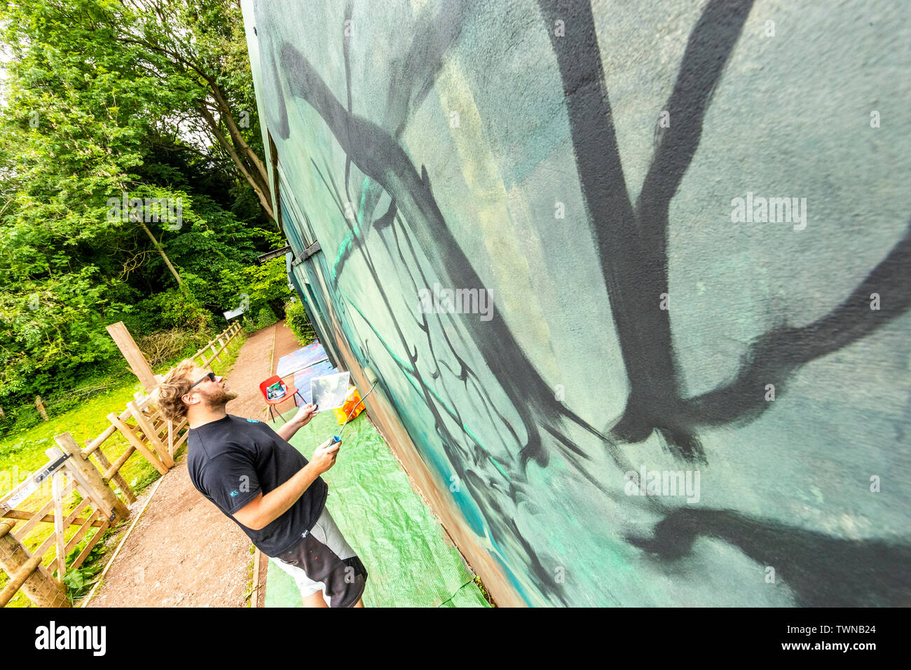 Artist Jim Vision. Creation of a large wall mural with a natural ...