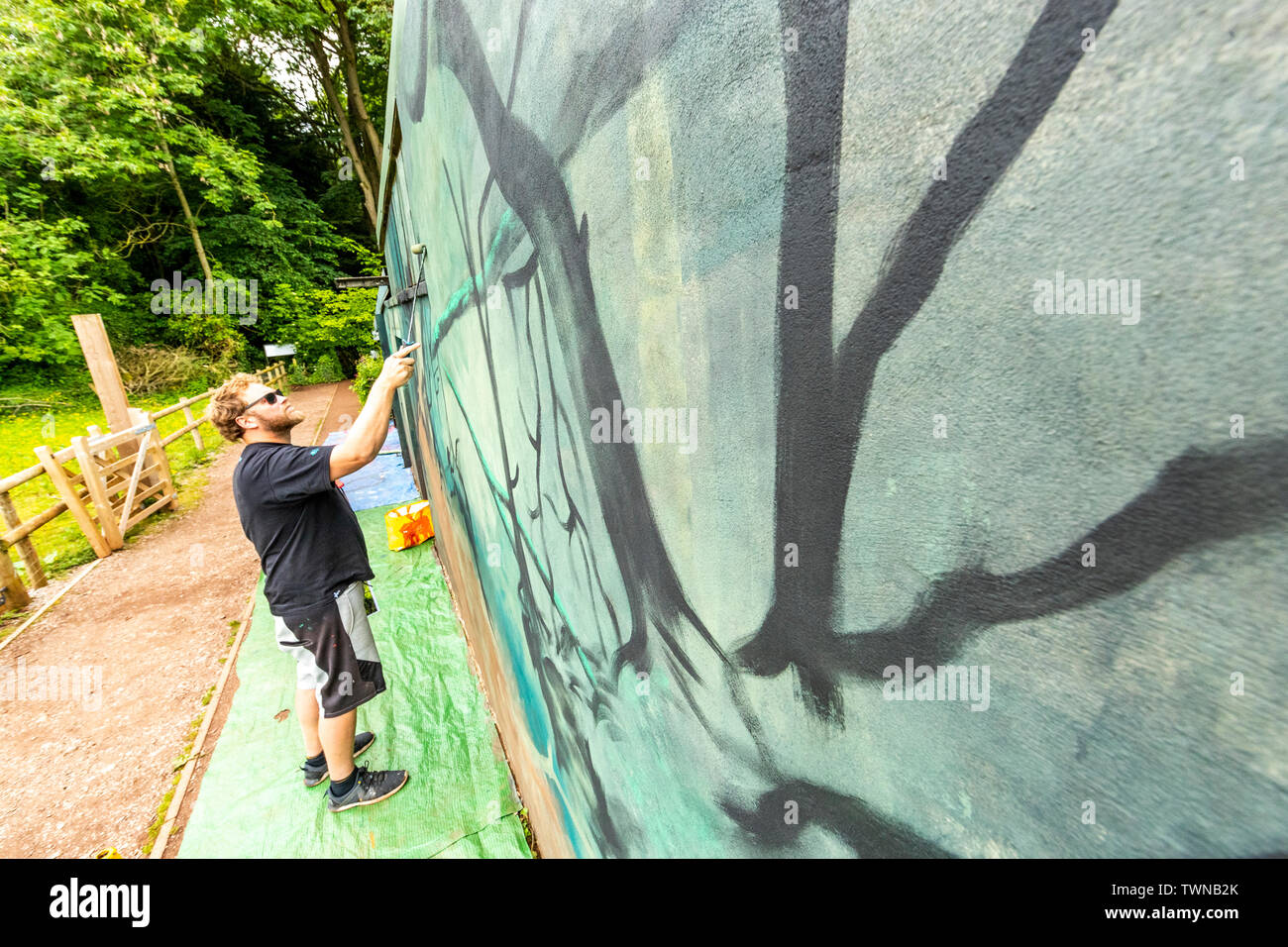 Artist Jim Vision. Creation of a large wall mural with a natural ...