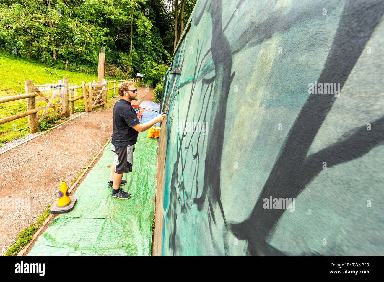 Artist Jim Vision. Creation of a large wall mural with a natural ...