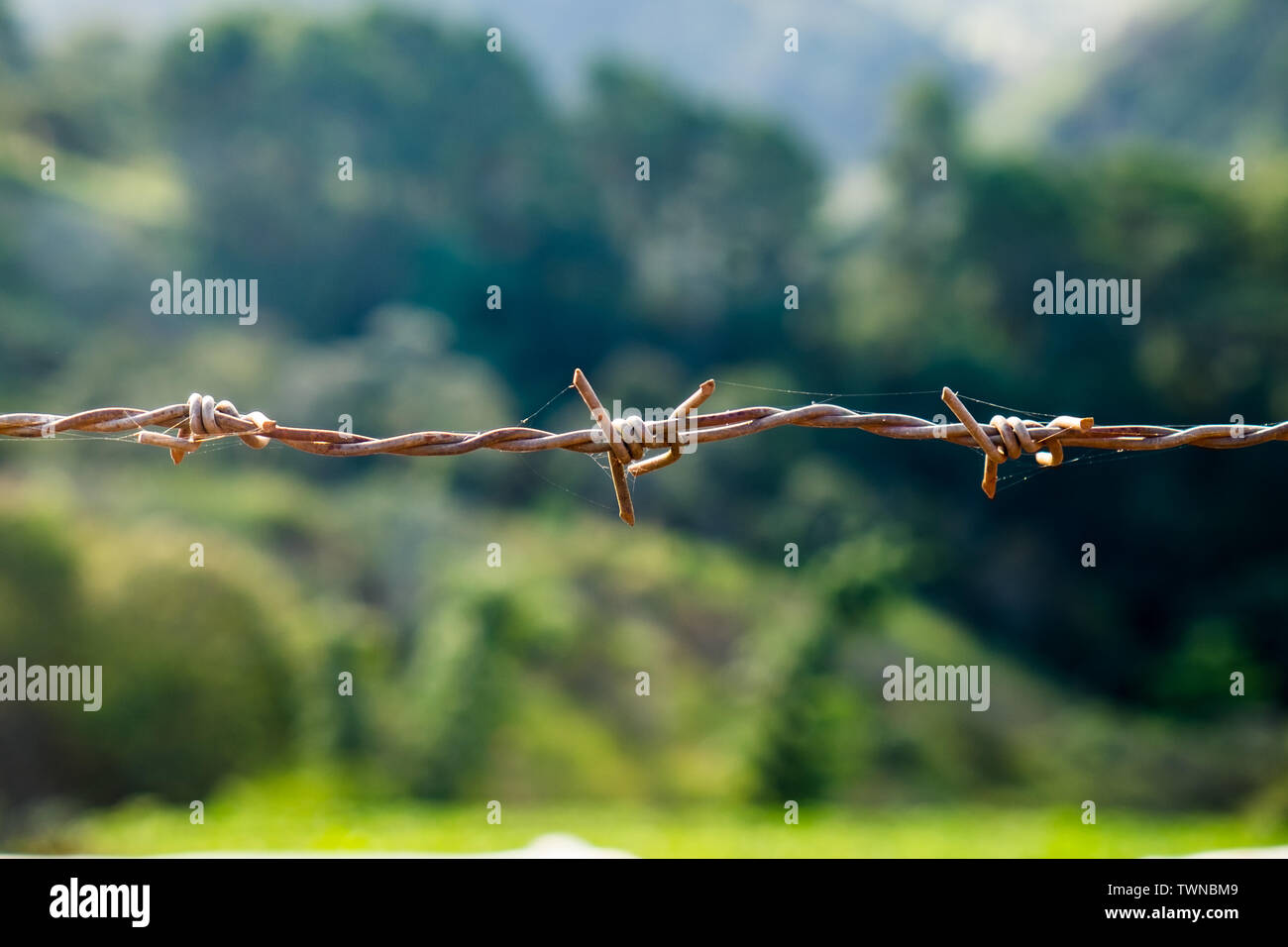 Wire coil rust cobweb hung in farm background Stock Photo - Alamy