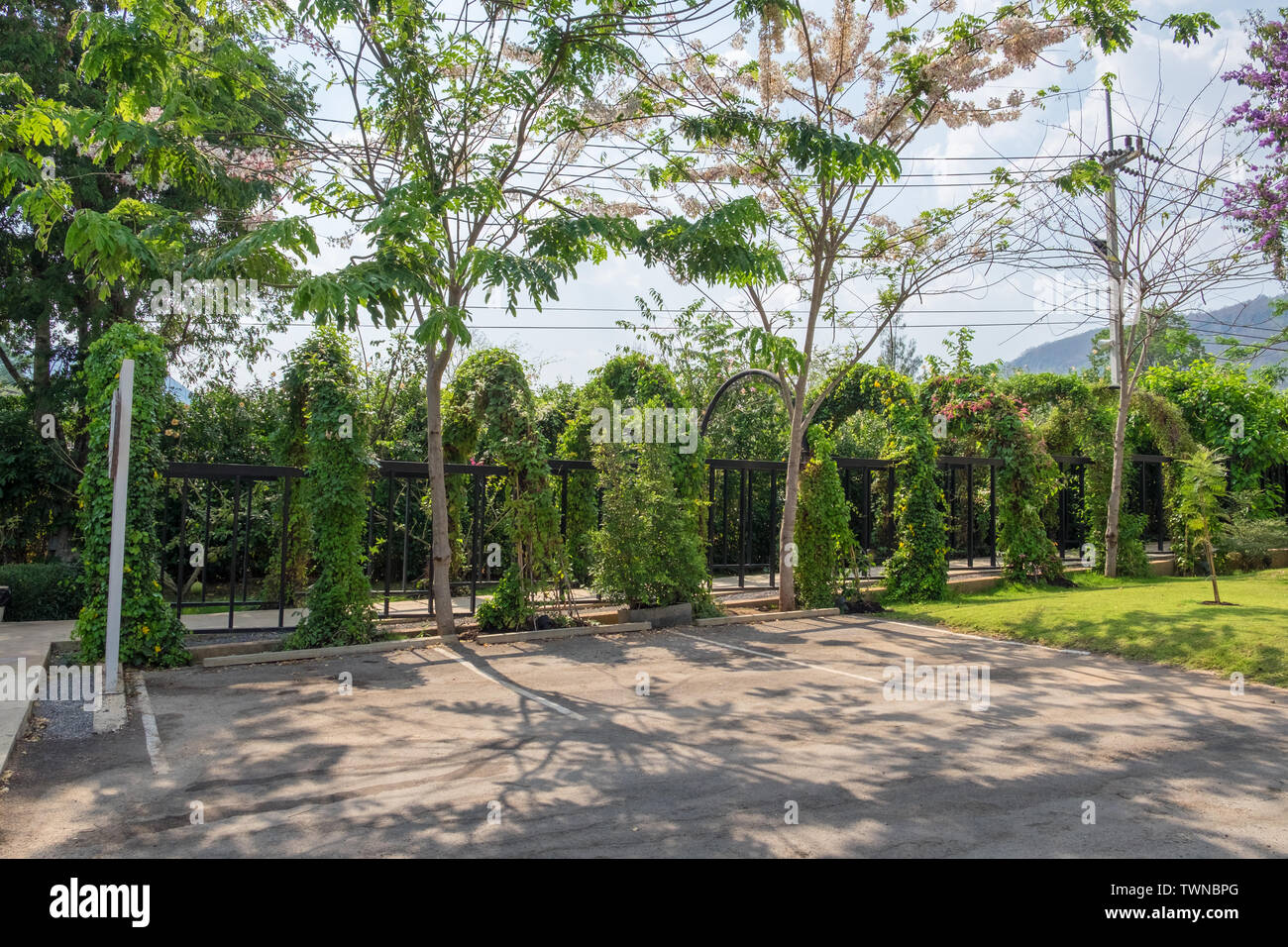 Tunnel pathway in tree shady Stock Photo - Alamy