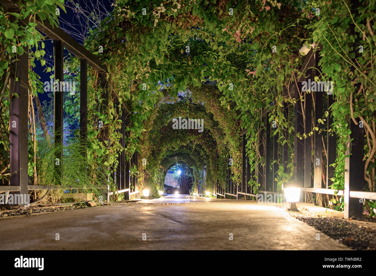 Tunnel arch pathway garden illuminate lighting Stock Photo - Alamy