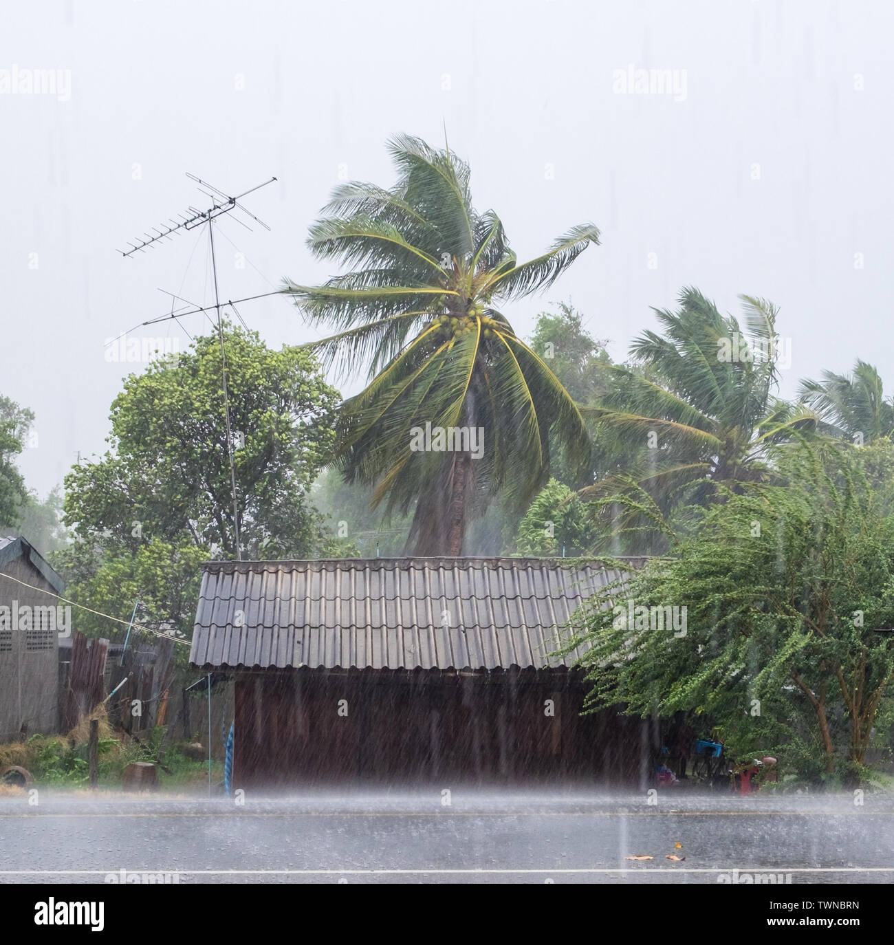 Hurricane windy rain house hi-res stock photography and images - Alamy