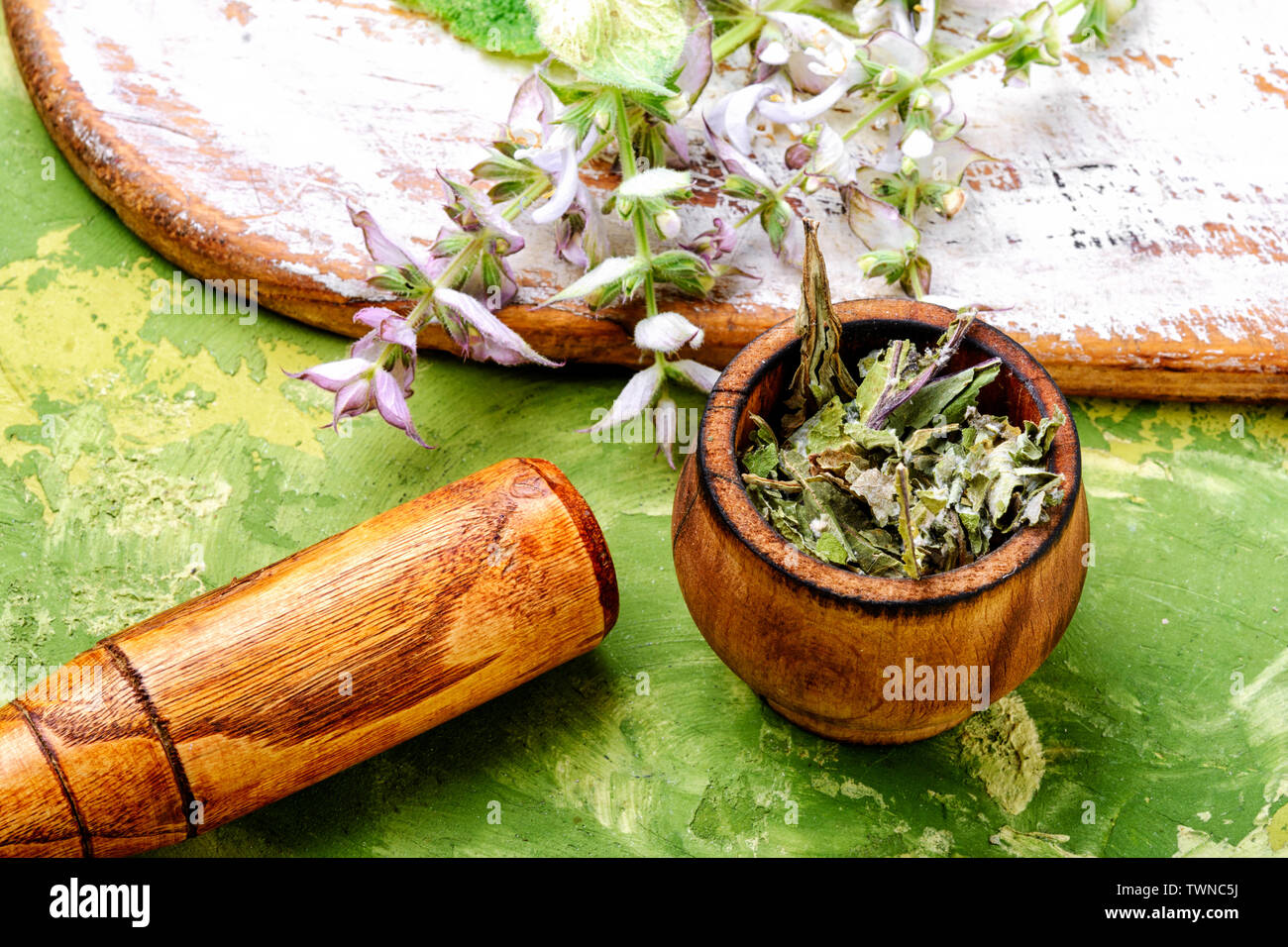 Sage medicinal herb spice leaves hi-res stock photography and images ...