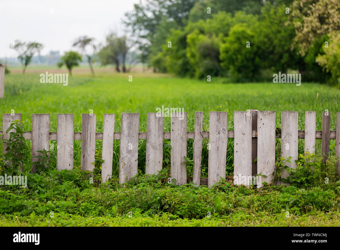 plain wooden rustic fence and green nature Stock Photo - Alamy